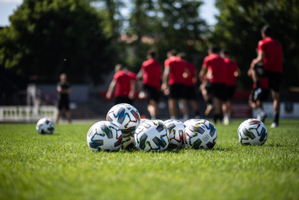 dorogifc.hu – A Dorogi FC hivatalos weboldala